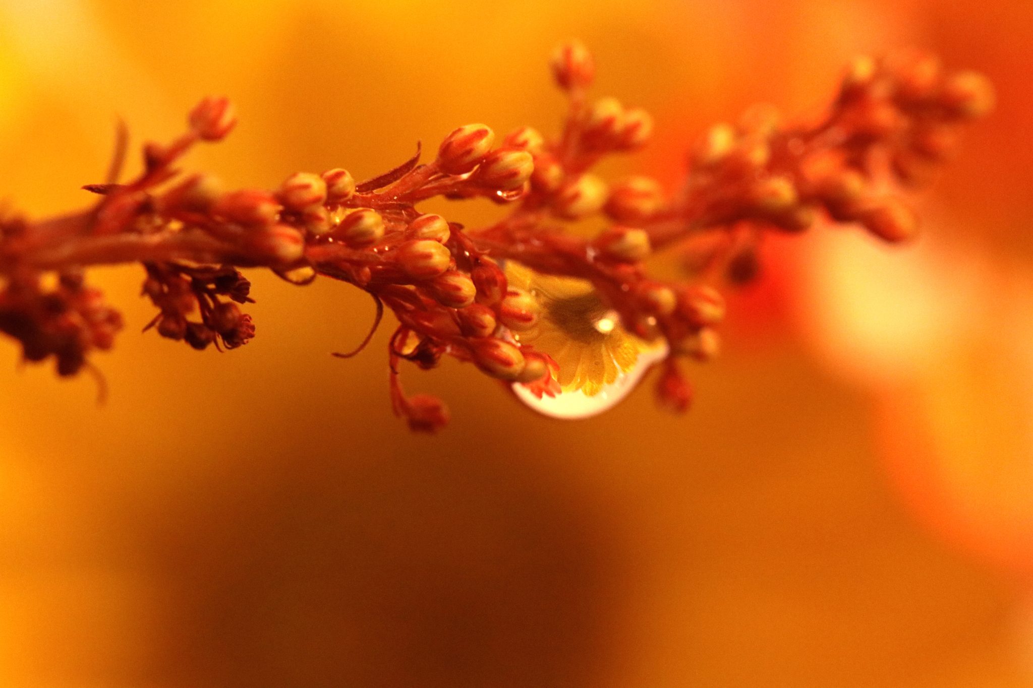 15th Annual Photo Contest for the 2025 Jeff Bank Calendar | Jeff Bank